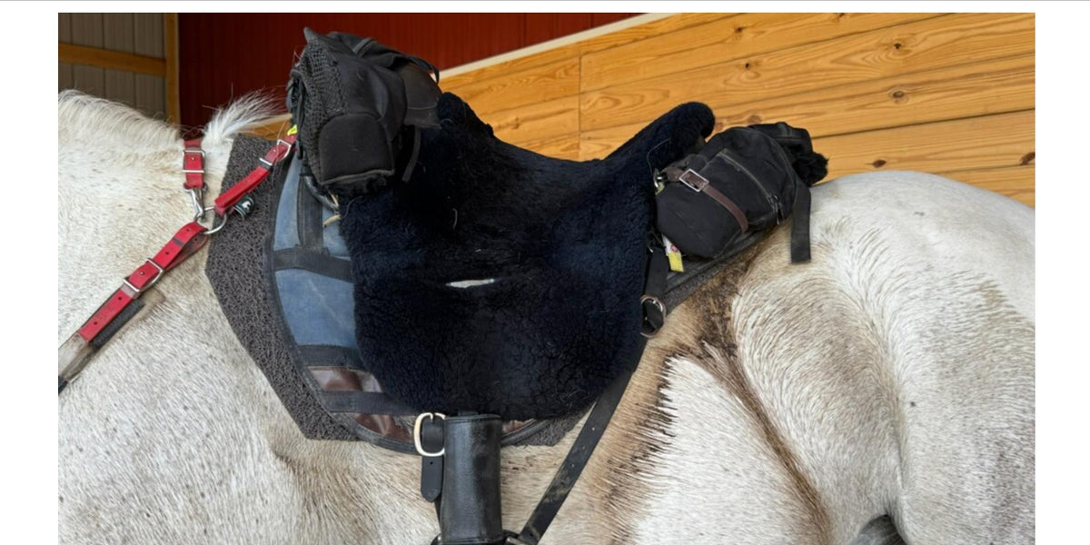 NEW Dixie Midnight ENDURO No-Sweat Vent Saddle Pad – Yukon Freedom Fit