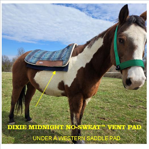 The Original Dixie Midnight No-Sweat Vent Saddle Pad – Yukon Freedom Fit