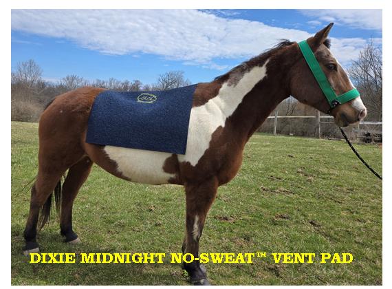 The Original Dixie Midnight No-Sweat Vent Saddle Pad – Yukon Freedom Fit